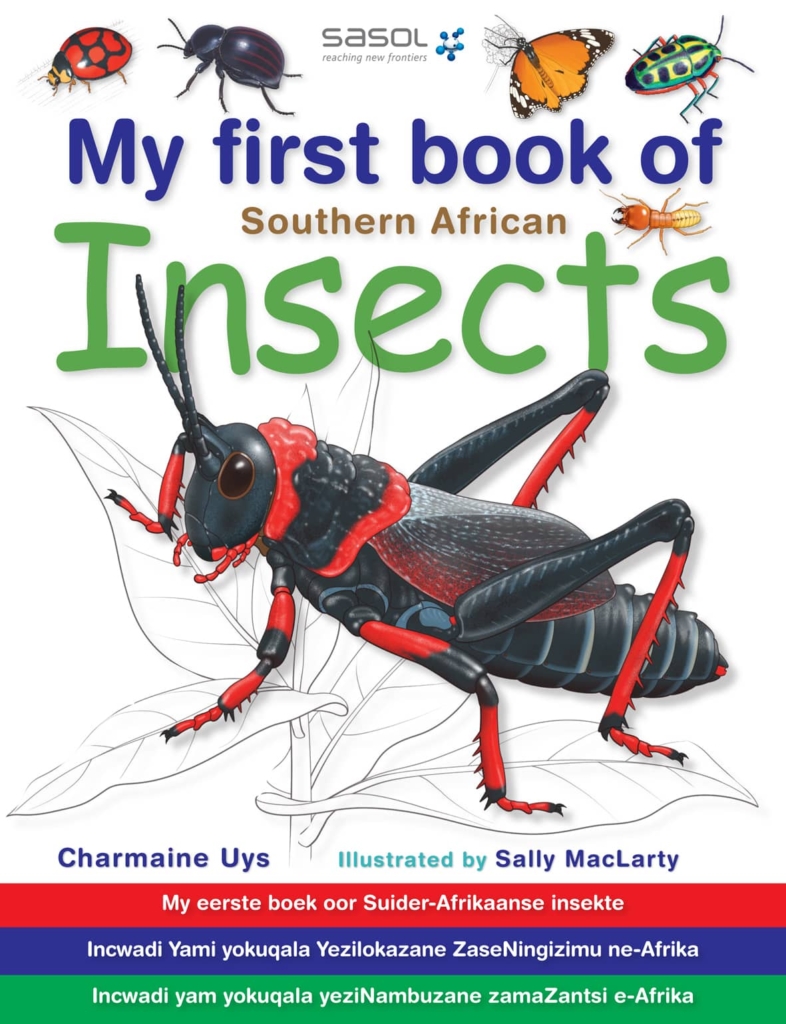 My First Book of Southern Africa Insects - Struik Nature