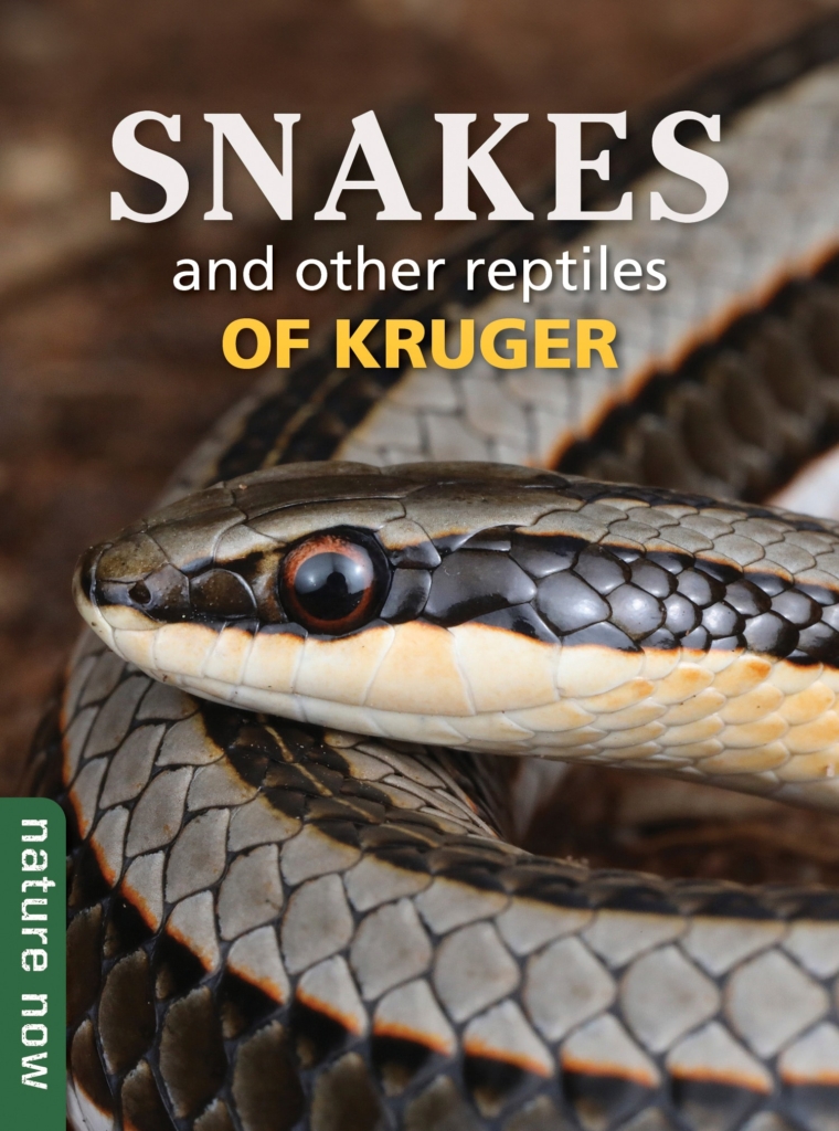 Reptiles and amphibians - Struik Nature